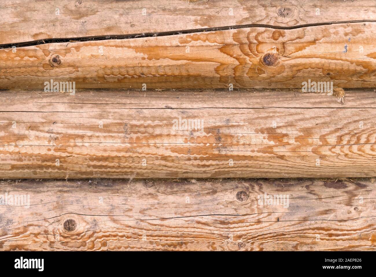 Log wall texture for background and design Stock Photo - Alamy