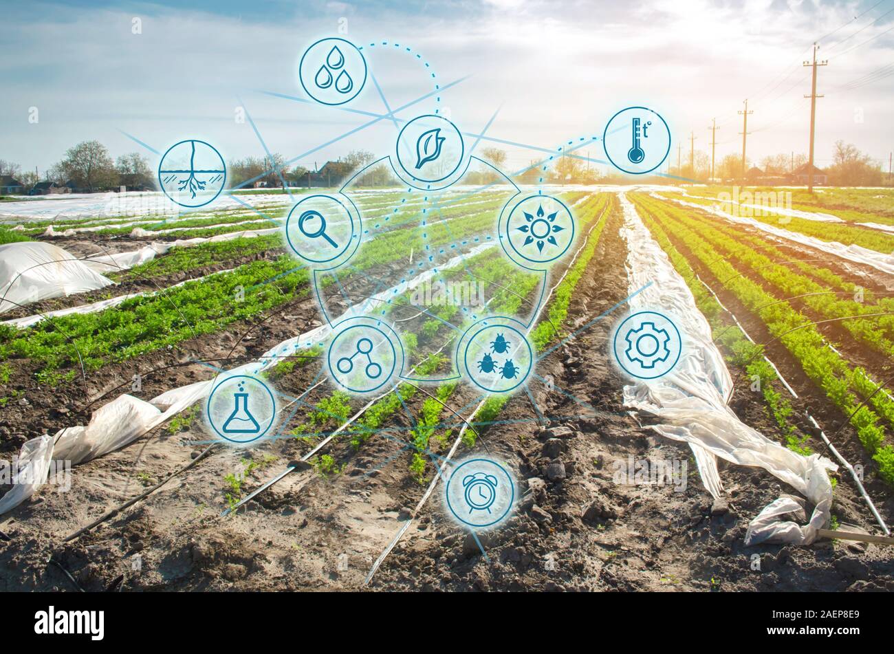 Smart innovative high technologies and innovations in agro-industry ...