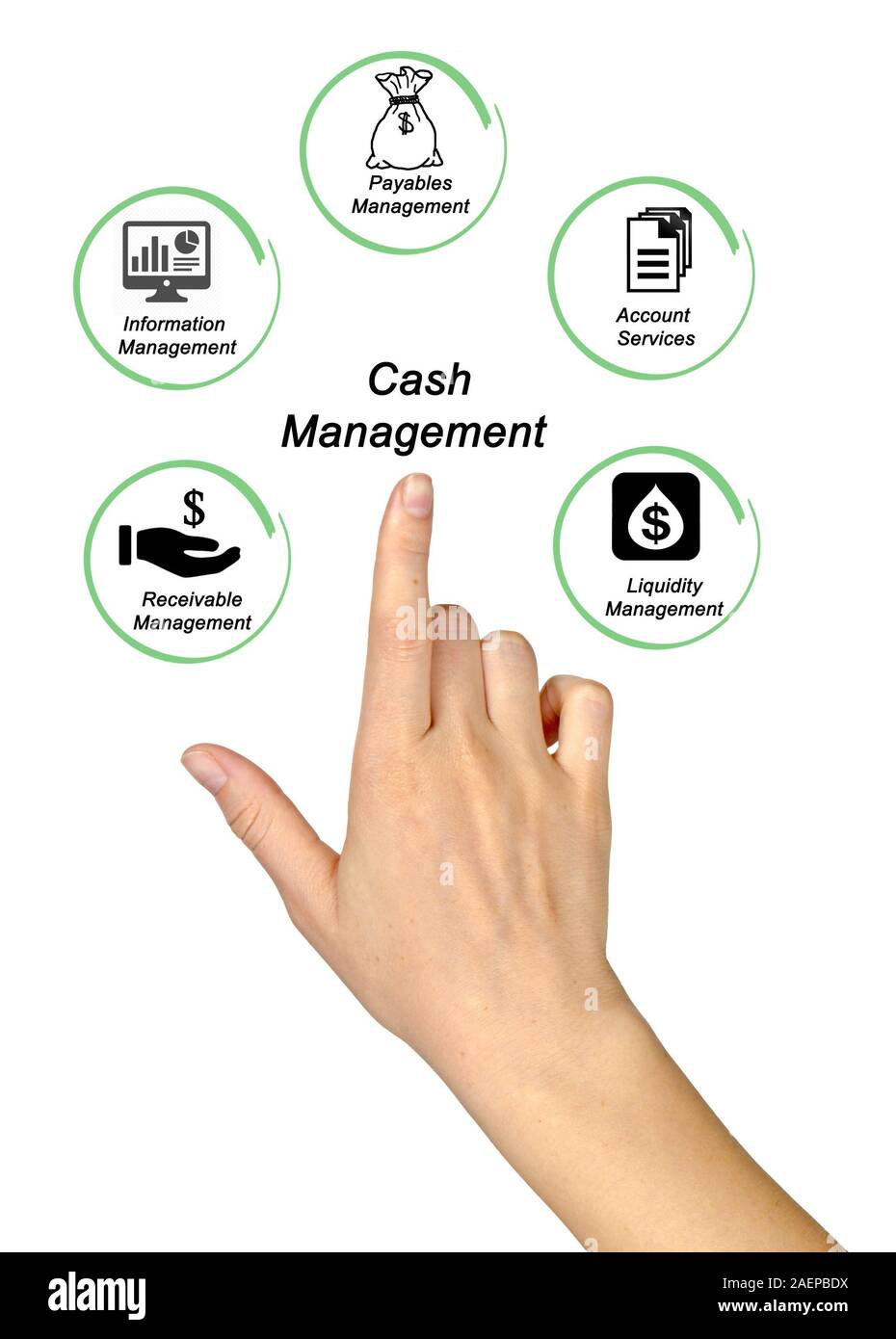 Components of Cash Management Stock Photo - Alamy