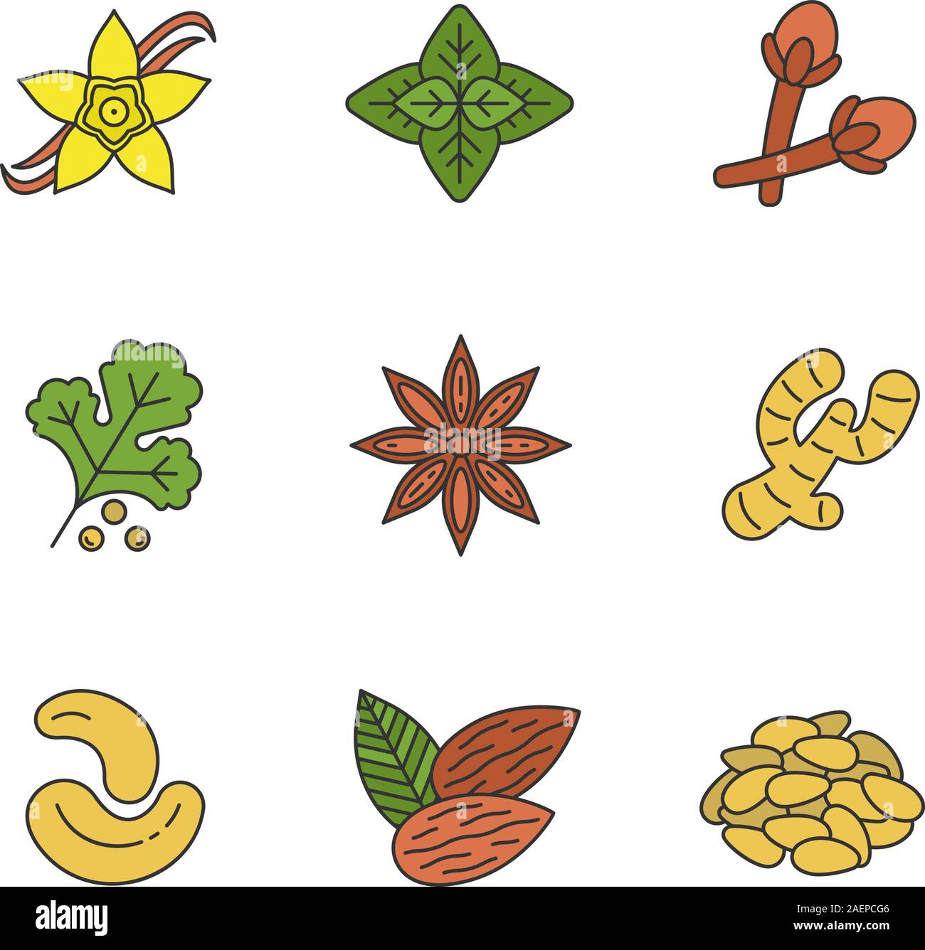Spices color icons set. Seasonings, flavorings. Vanilla flower, basil ...