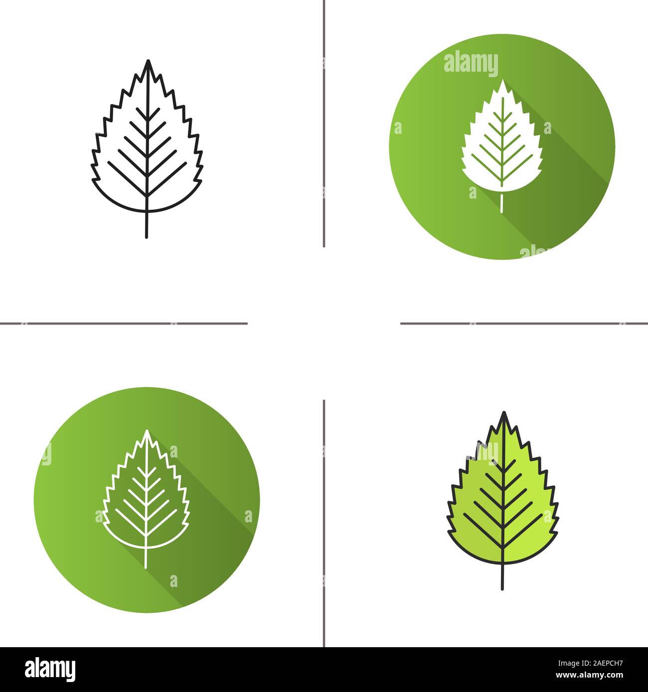 Birch leaf icon. Flat design, linear and color styles. Isolated vector ...