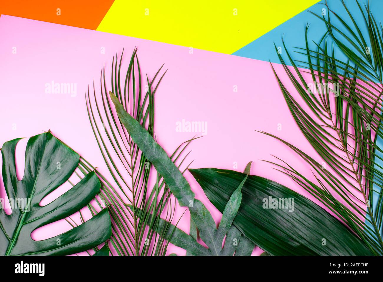 Mix of tropical green fresh leaves on geometric multicolored neon ...