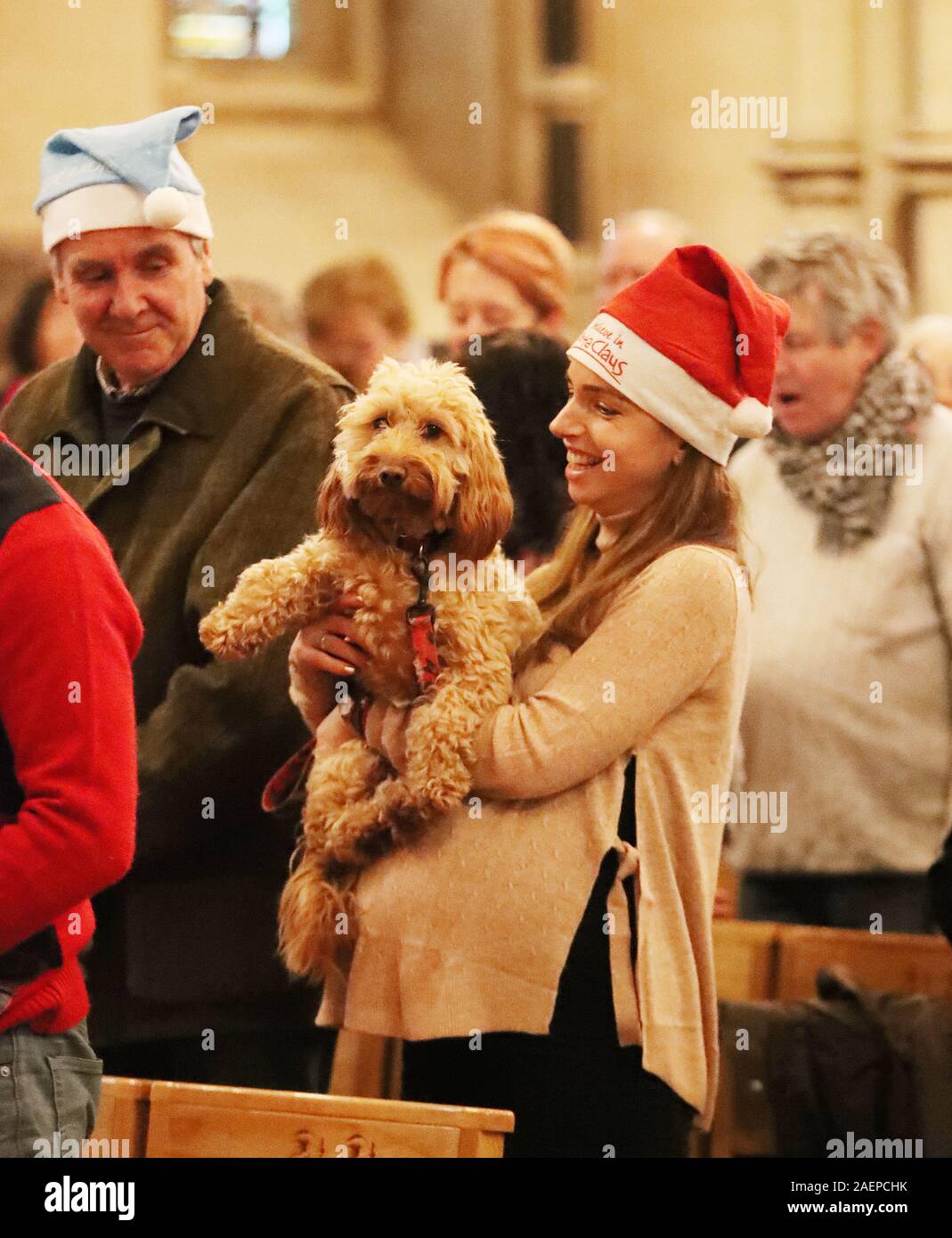 Annual peata therapy dog carol service christ church cathedral hi-res ...