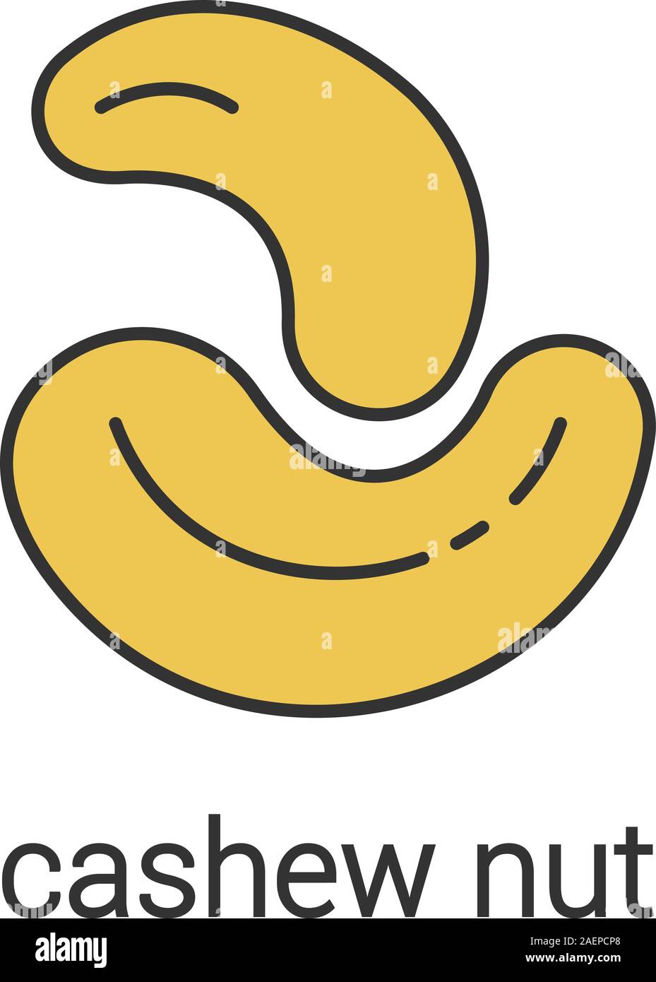 Cashew nut color icon. Isolated vector illustration Stock Vector Image ...