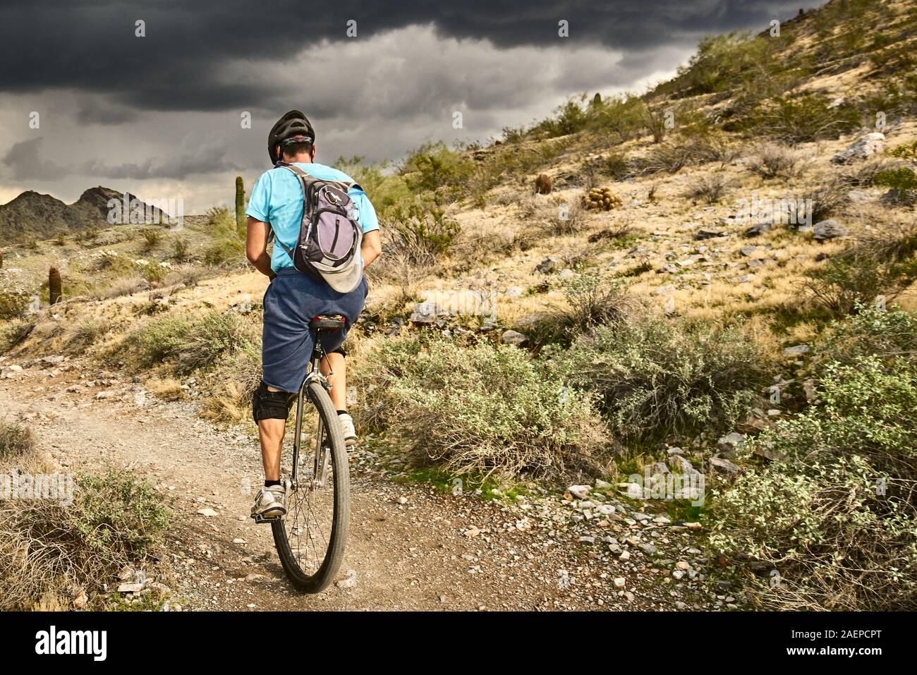 Man Riding A Phoenix High Resolution Stock Photography and Images - Alamy
