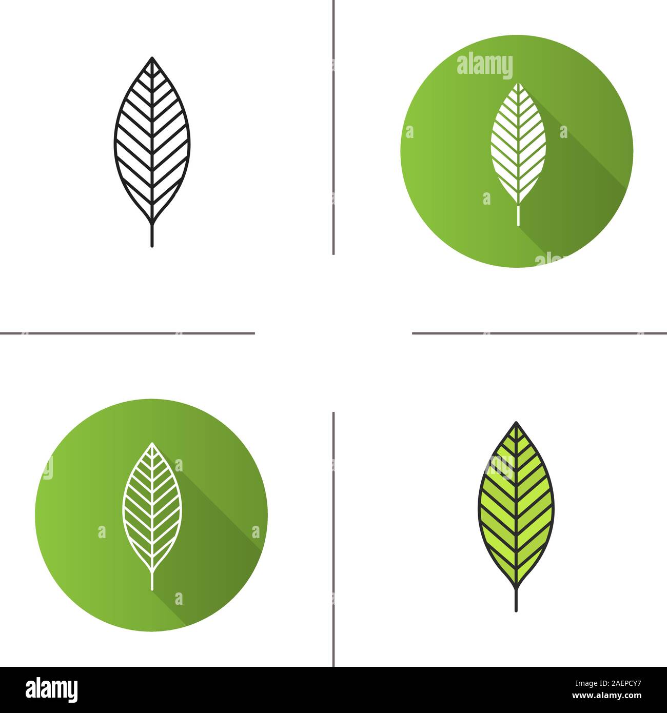 Bio walnut tree Cut Out Stock Images & Pictures - Alamy