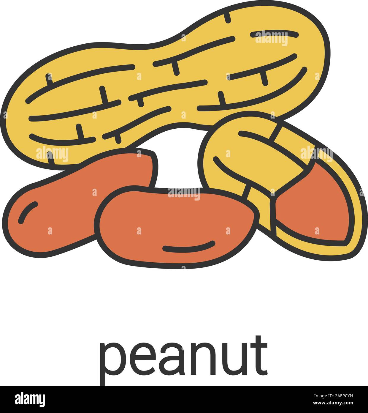 Peanut color icon. Isolated vector illustration Stock Vector Image ...
