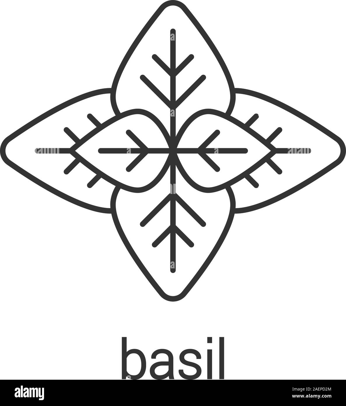 Basil linear icon. Thin line illustration. Flavoring, seasoning ...