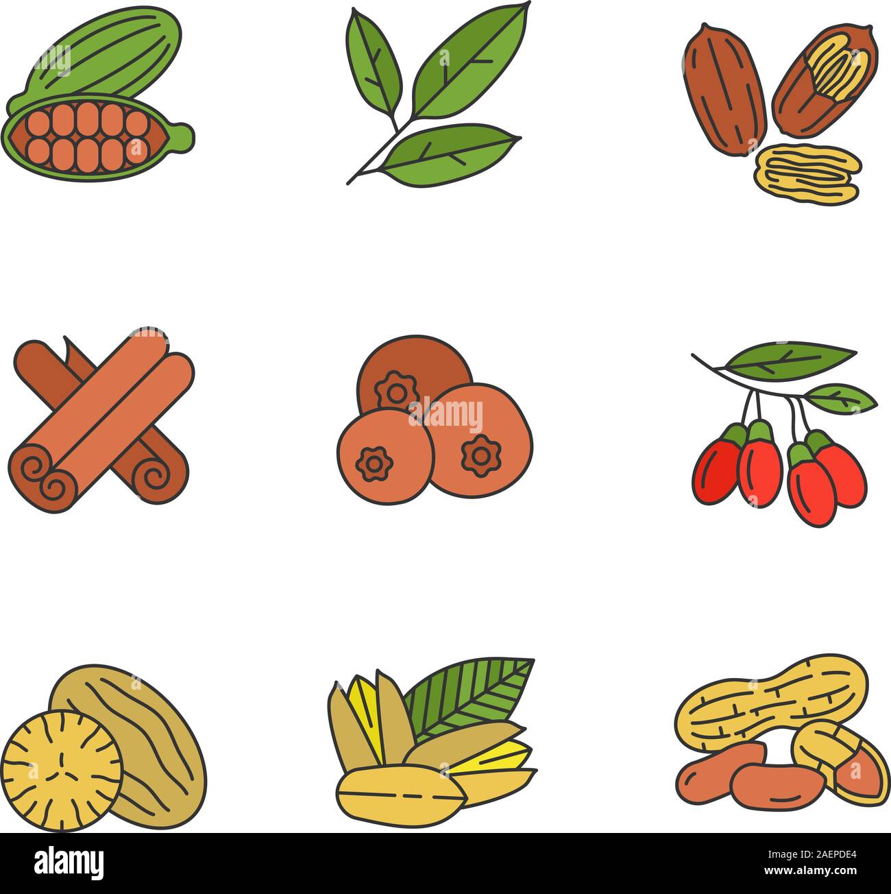 Spices color icons set. Cardamom, bay leaves, pecan nut, cinnamon ... Spices color icons set. Cardamom, bay leaves, pecan nut, cinnamon ...