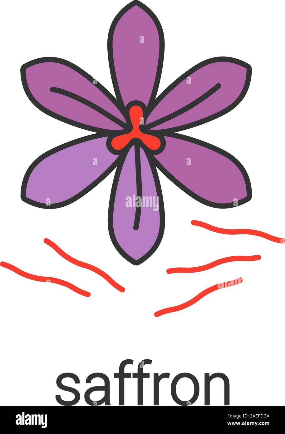 Saffron Flower Drawing