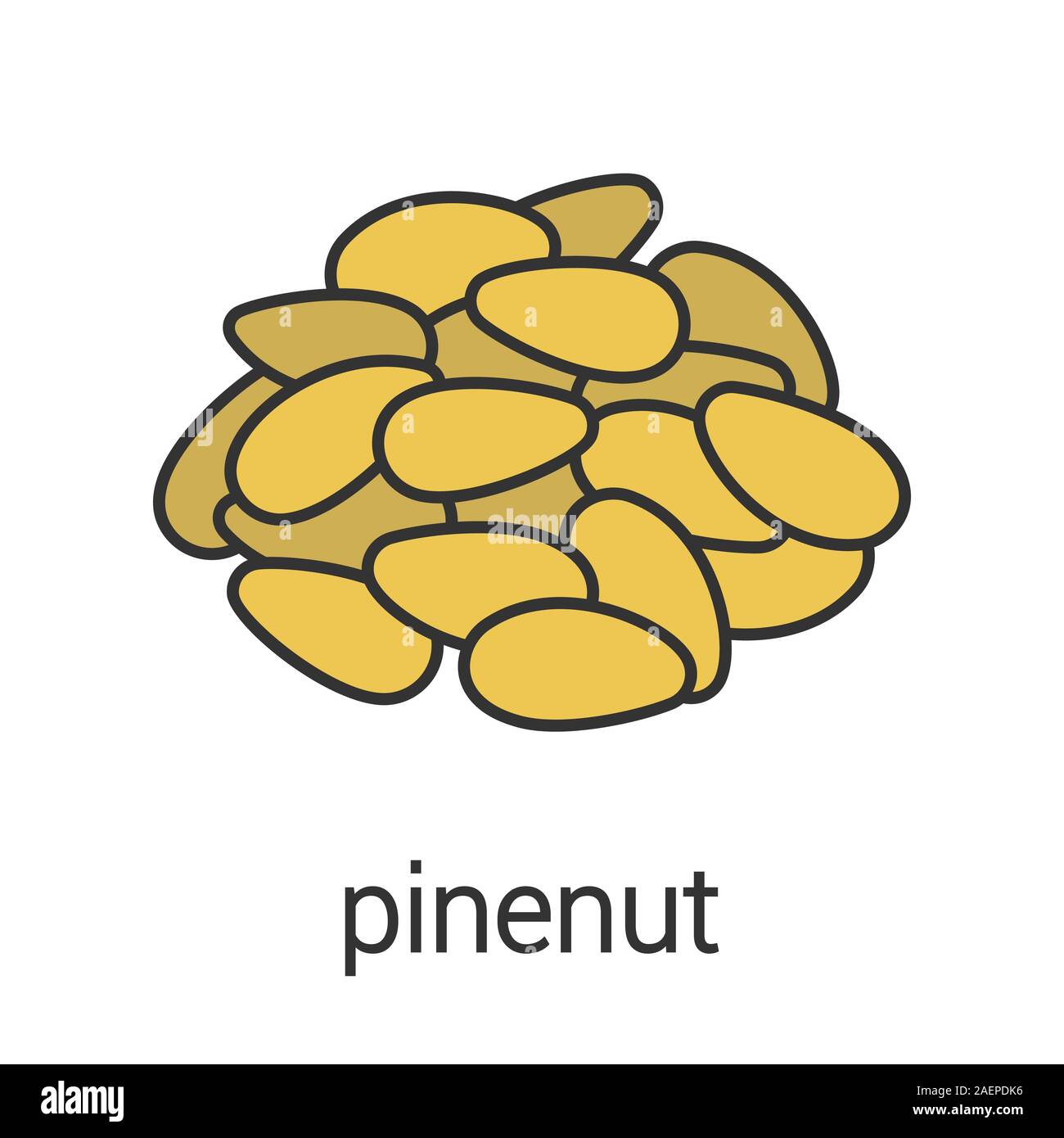 Pinenut Stock Vector Images - Alamy