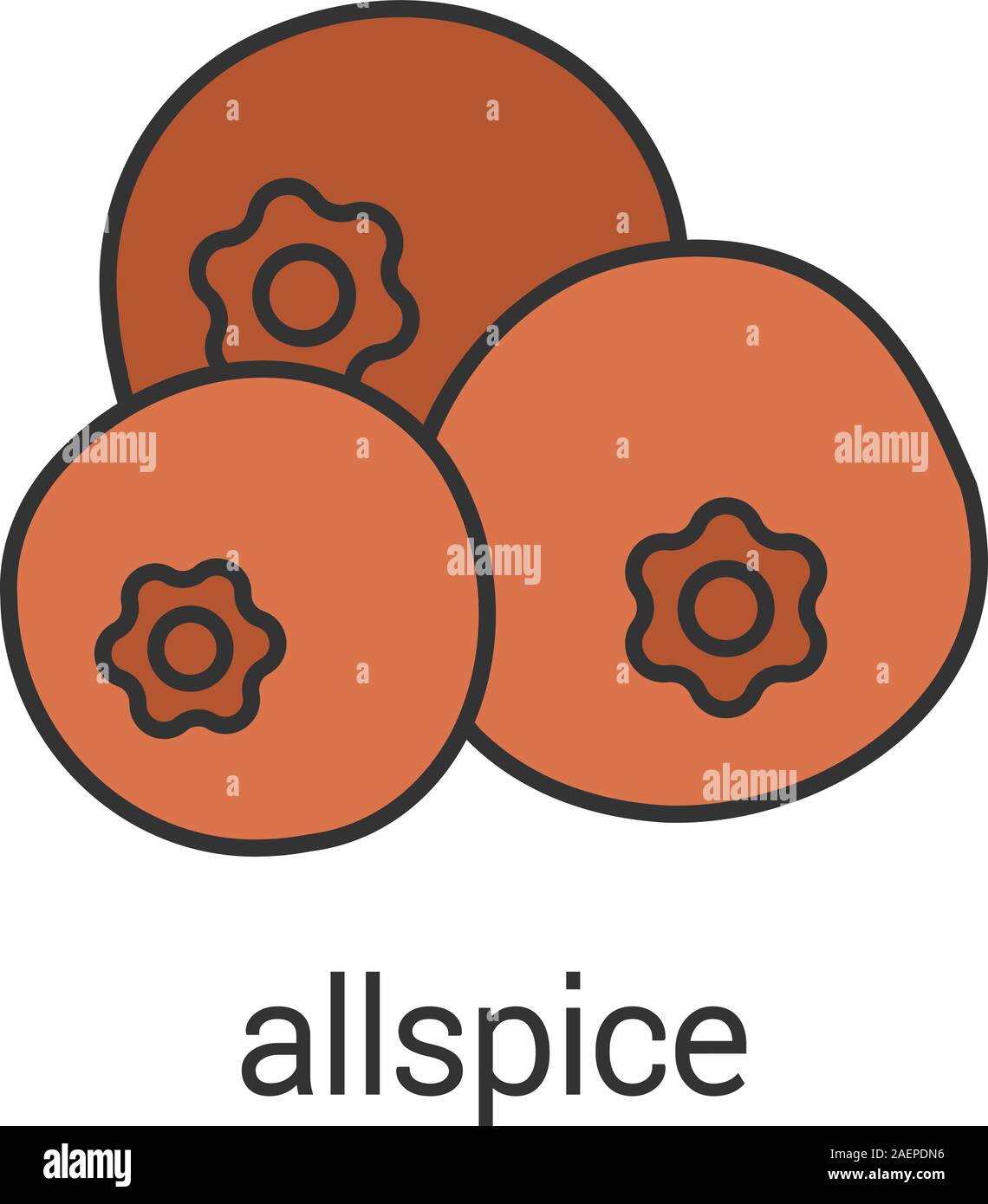 Allspice color icon. Pimento. Isolated vector illustration Stock Vector ...