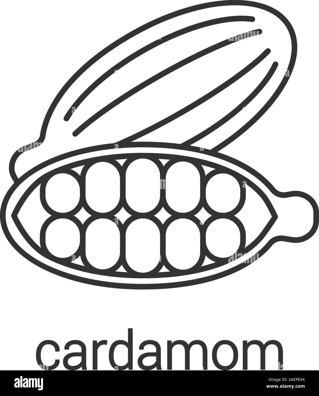 Cardamum plant Stock Vector Images - Alamy