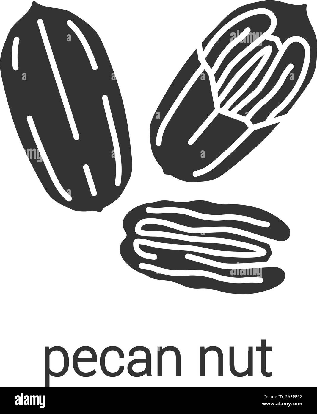 Pecan nut glyph icon. Silhouette symbol. Negative space. Vector ...