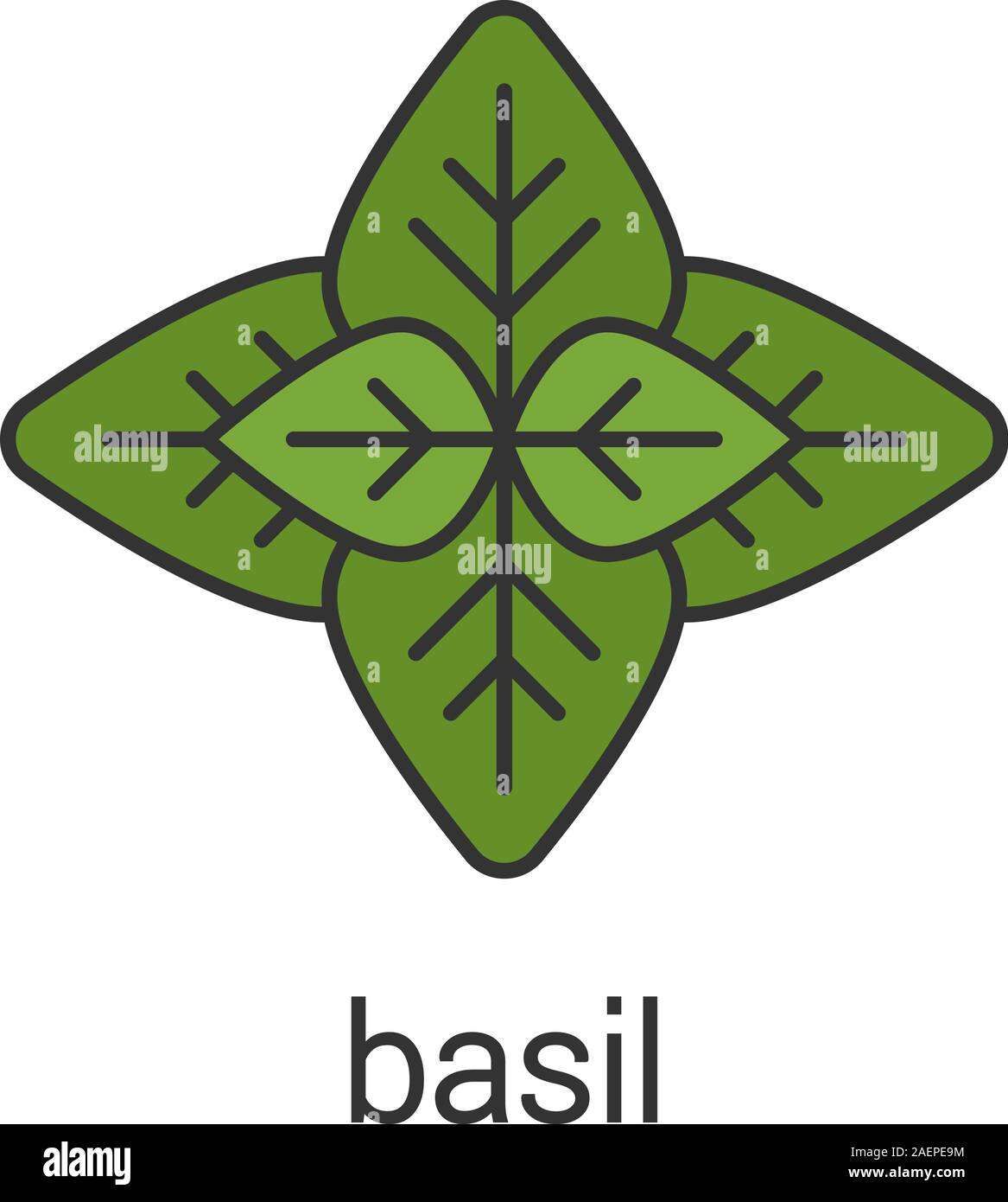 Basil color icon. Isolated vector illustration Stock Vector Image & Art ...