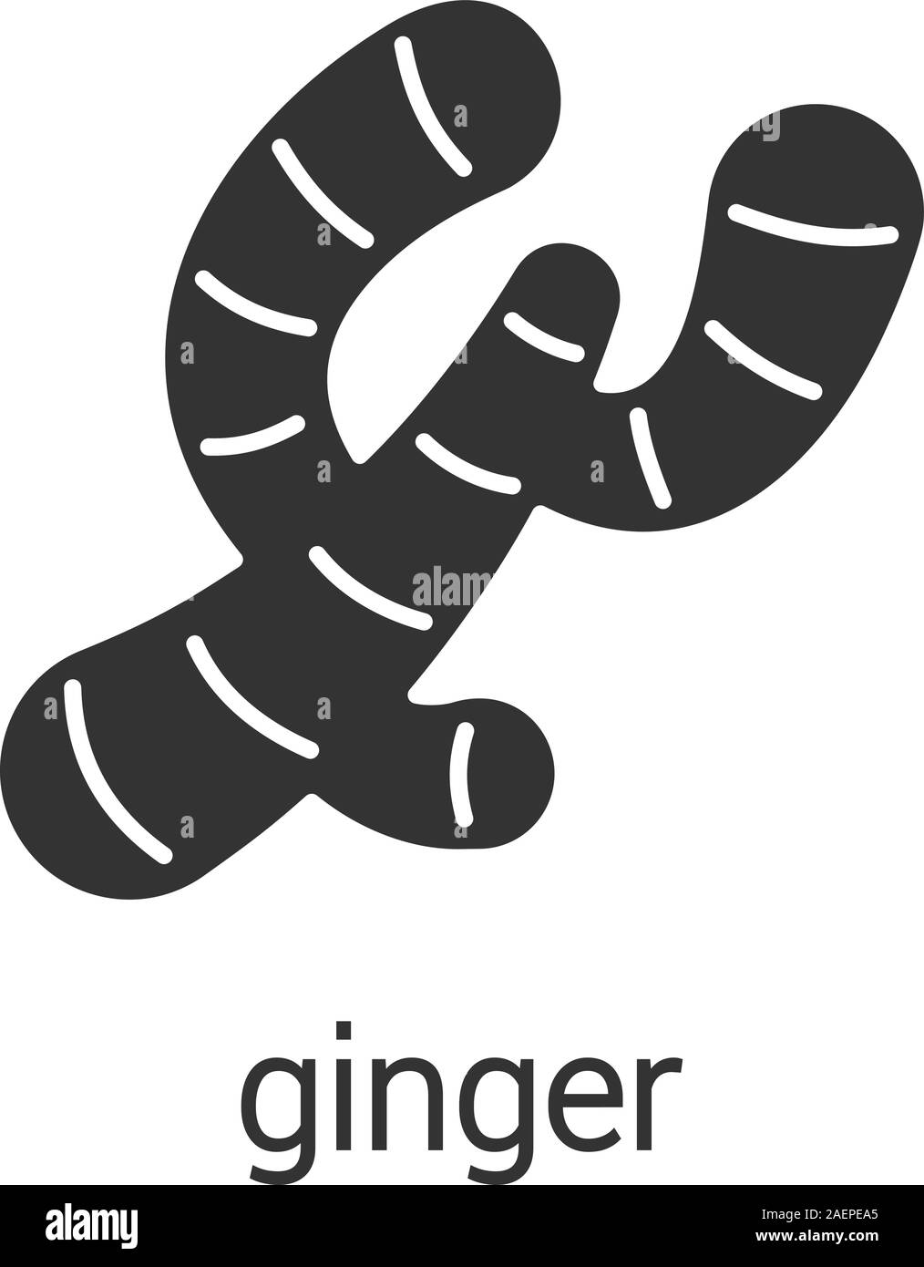 Ginger root glyph icon. Silhouette symbol. Flavoring, seasoning ...