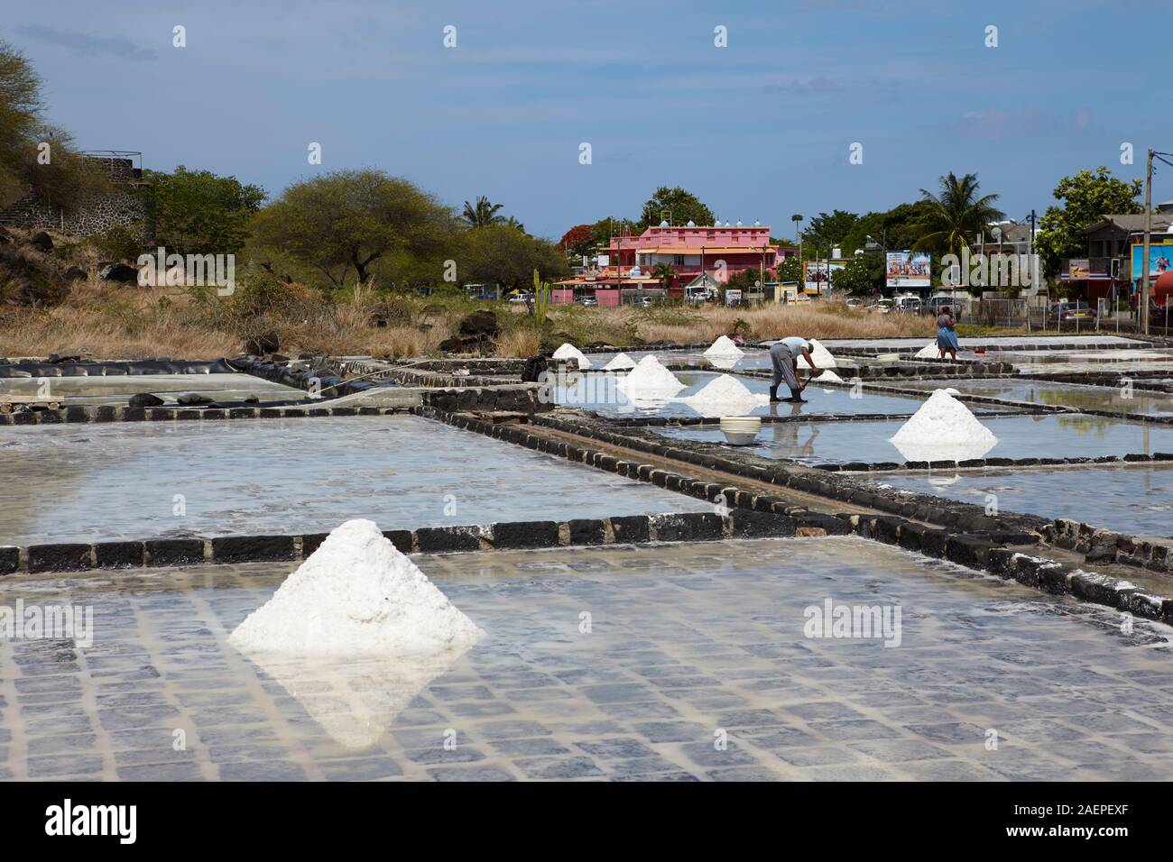 Tamarin mauritius salt hi-res stock photography and images - Alamy