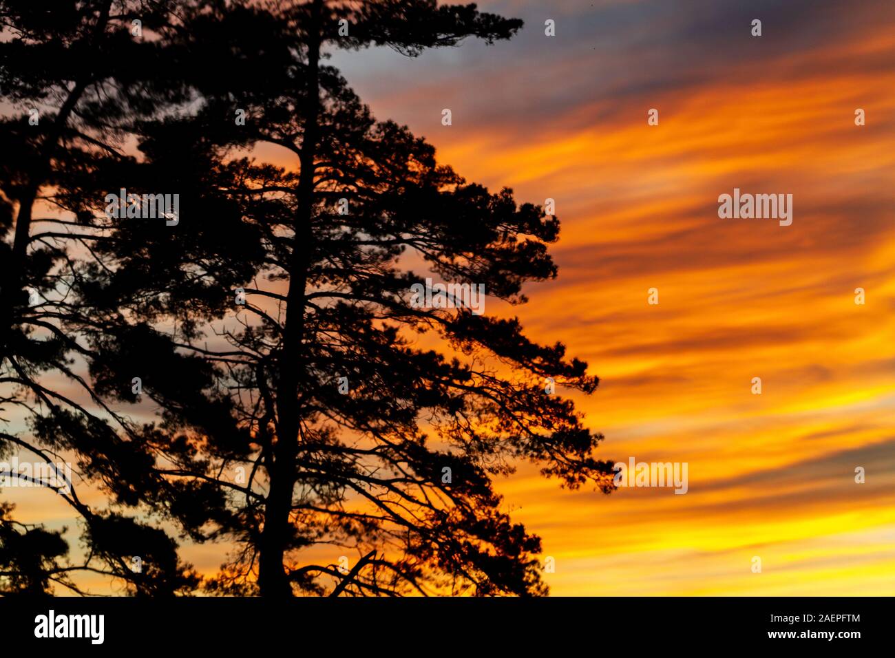 Backdrop edge hi-res stock photography and images - Alamy