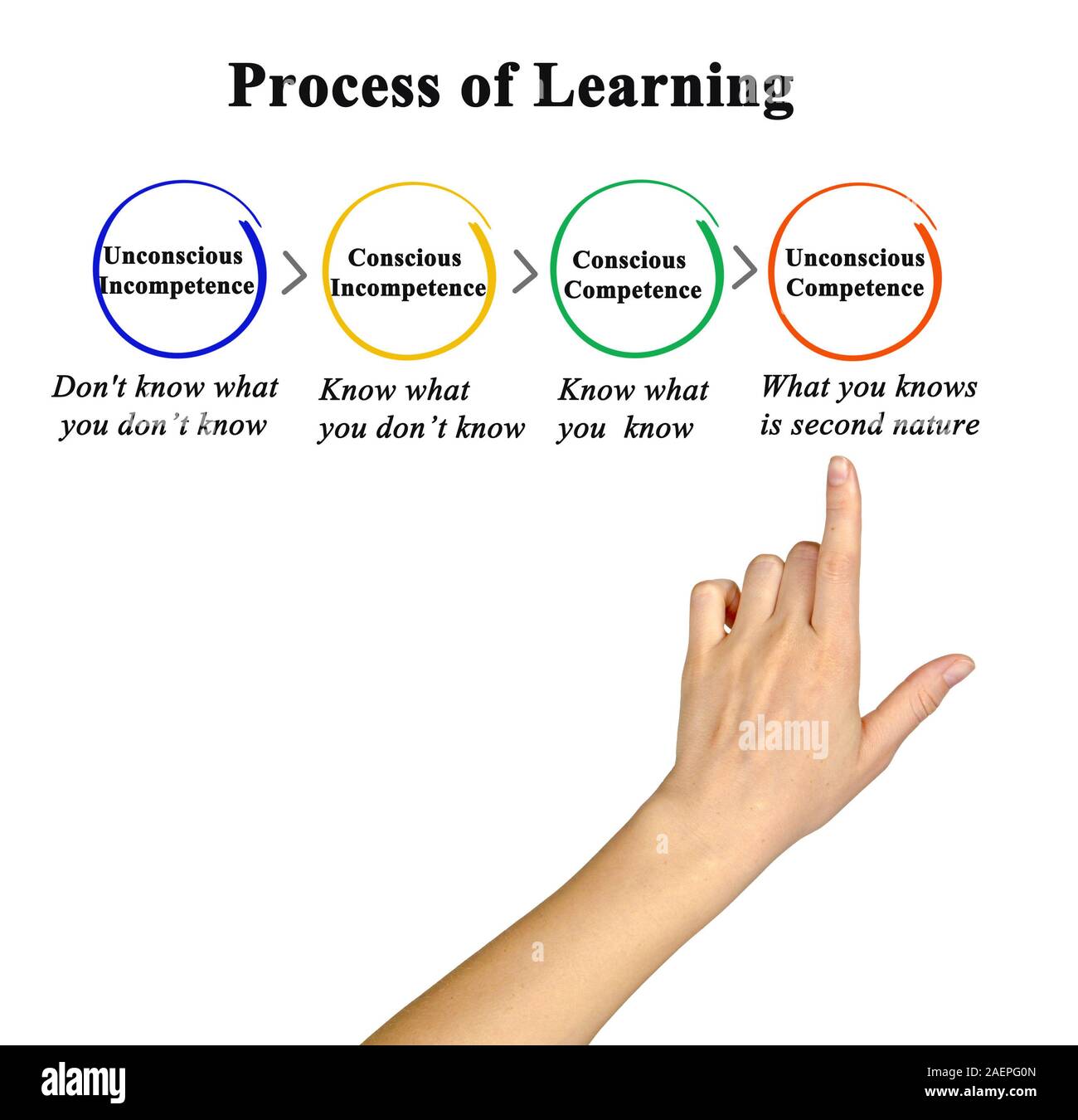 Woman presenting process of Learning Stock Photo - Alamy