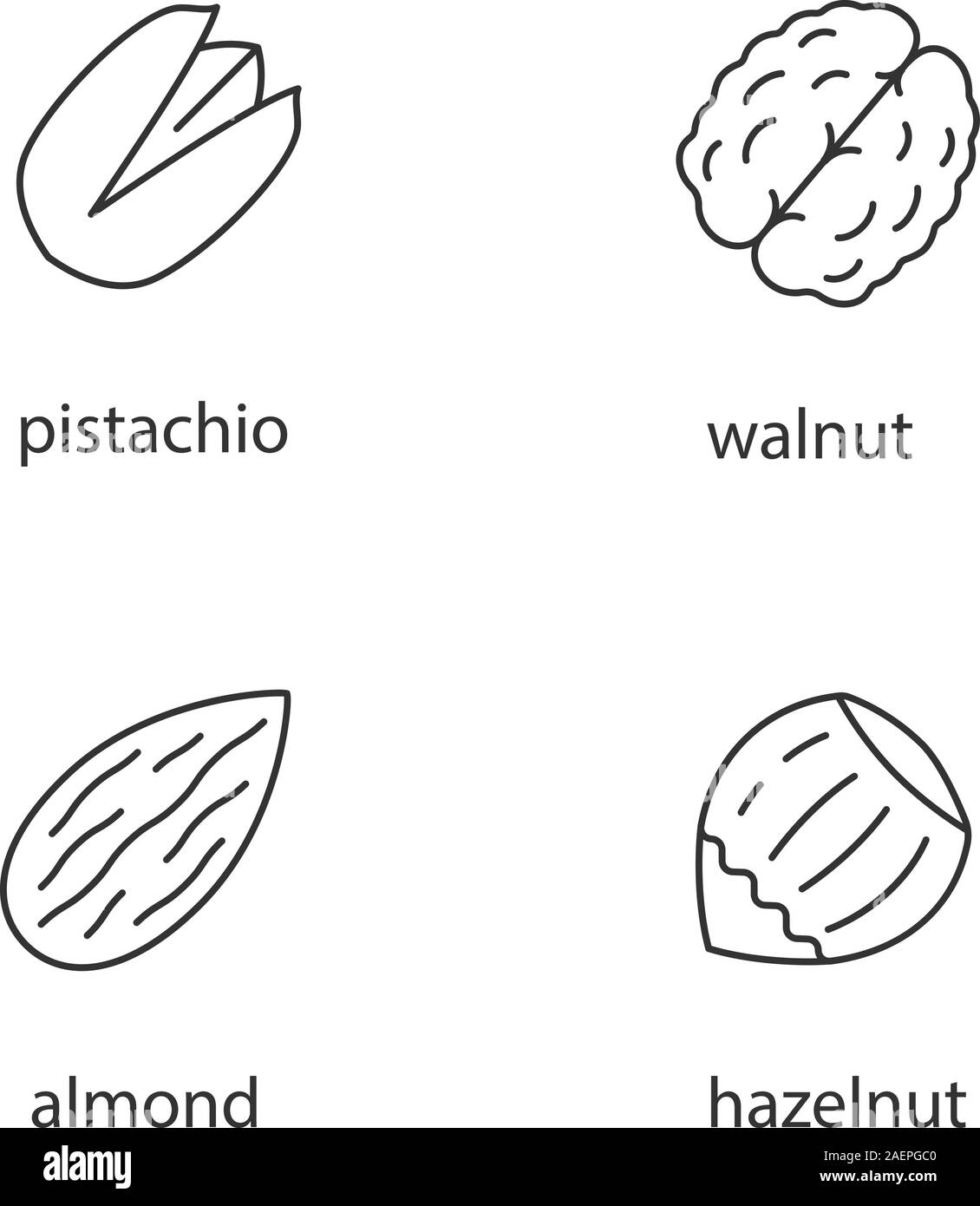 Nuts types linear icons set. Thin line contour symbols. Pistachio ...