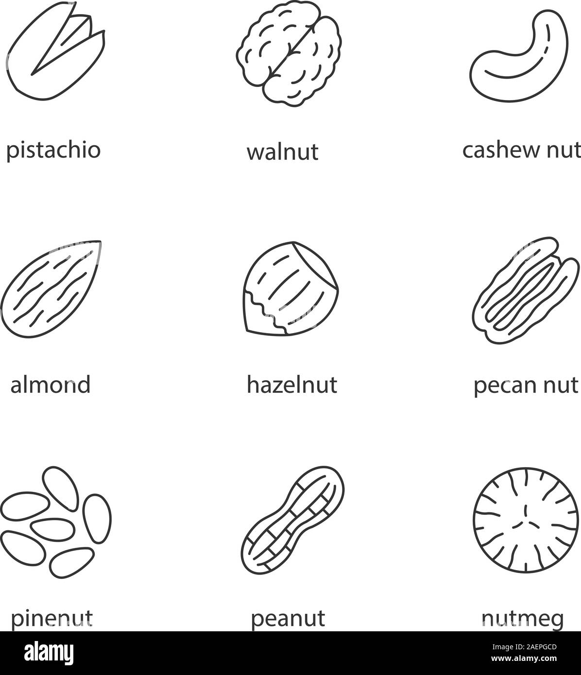 Nuts types linear icons set. Thin line contour symbols. Isolated vector ...
