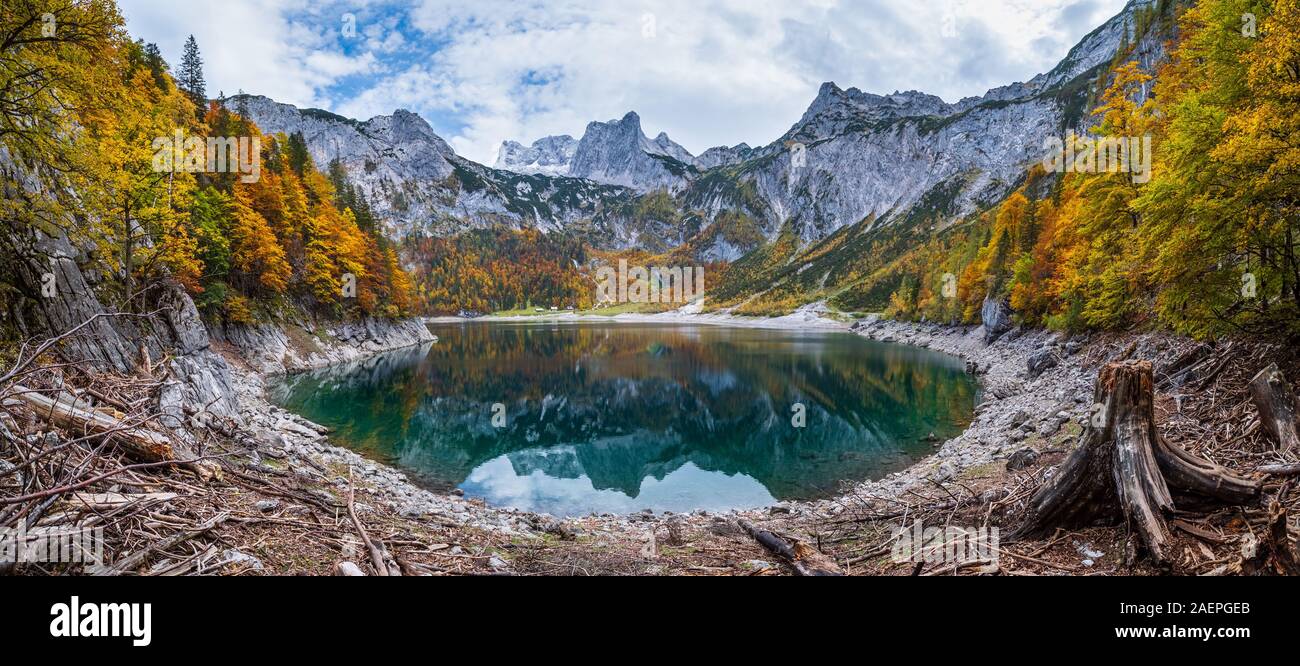 Tree stumps after deforestation near Hinterer Gosausee lake, Upper ...