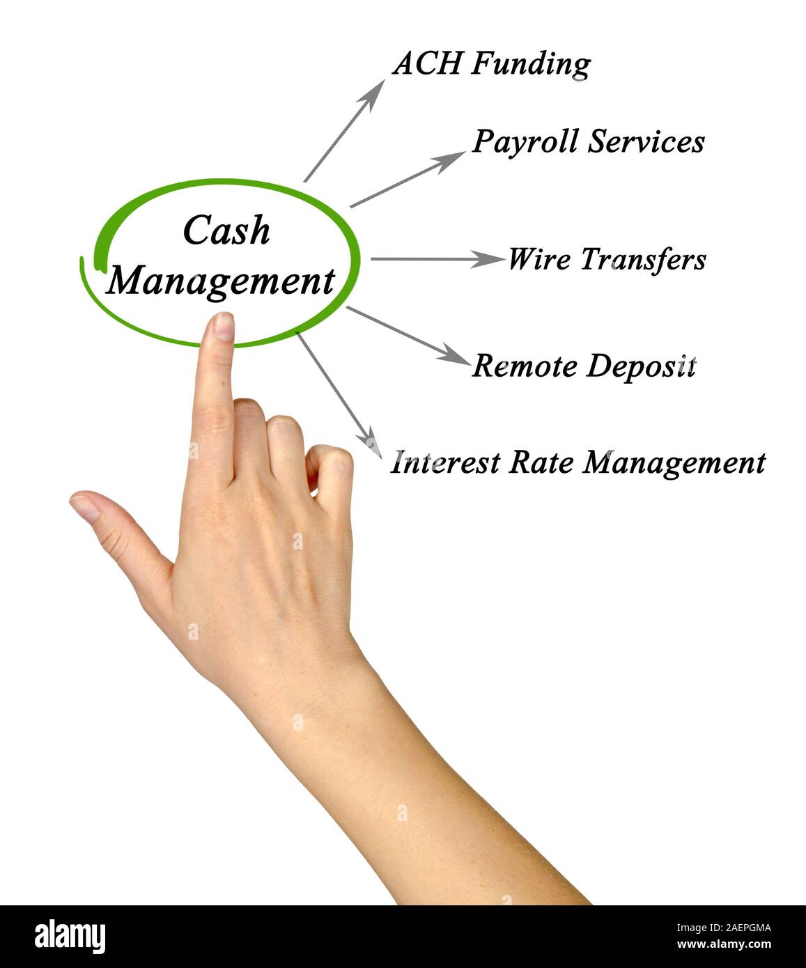 Components of cash Management Stock Photo - Alamy