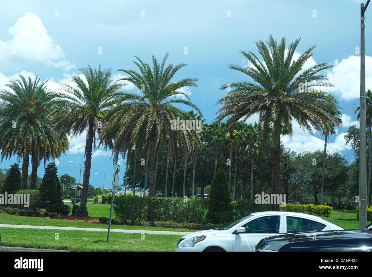 Driving down to the Key west, Florida Stock Photo - Alamy