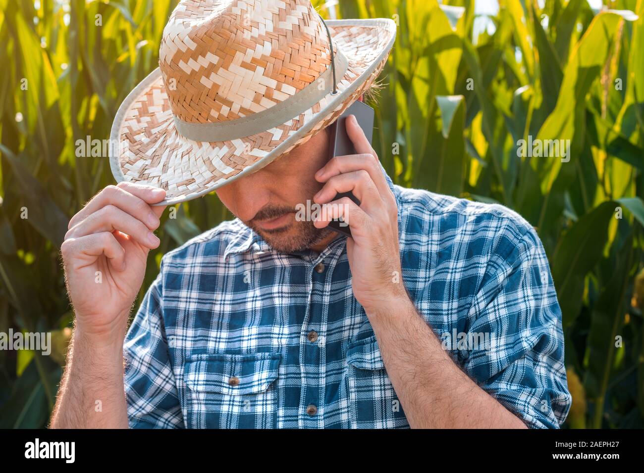 Mobile Plantation High Resolution Stock Photography and Images - Alamy