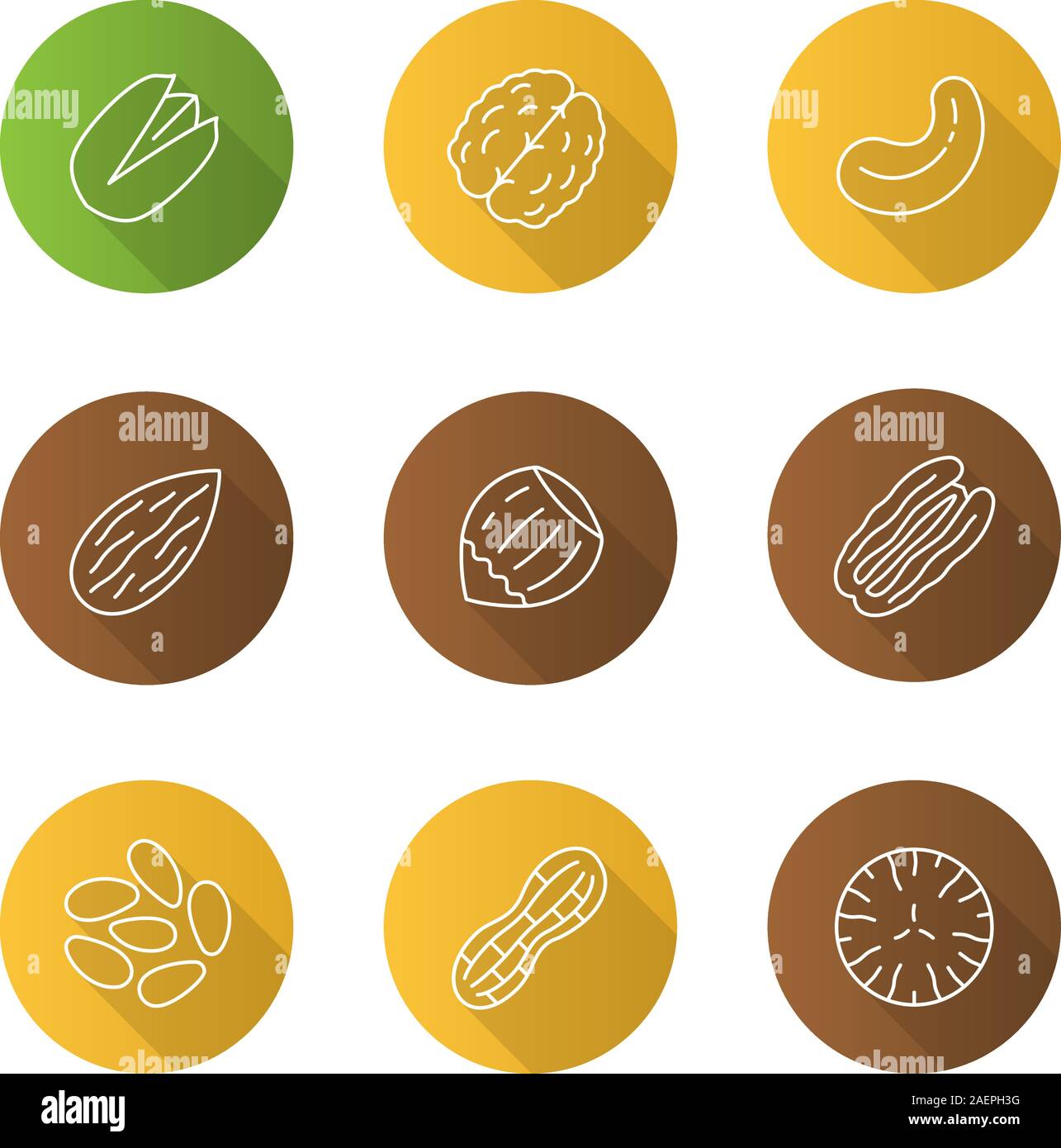 Nuts types flat linear long shadow icons set. Pistachio, walnut, cashew ...