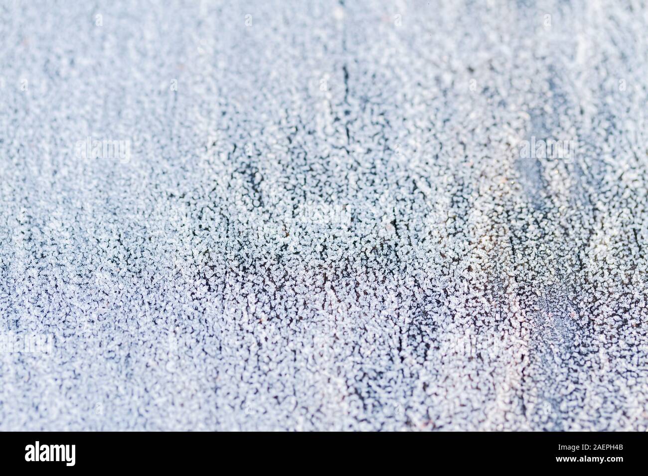 White frost hi-res stock photography and images - Alamy