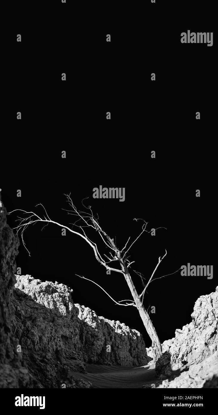 Tree on earth Black and White Stock Photos & Images - Alamy