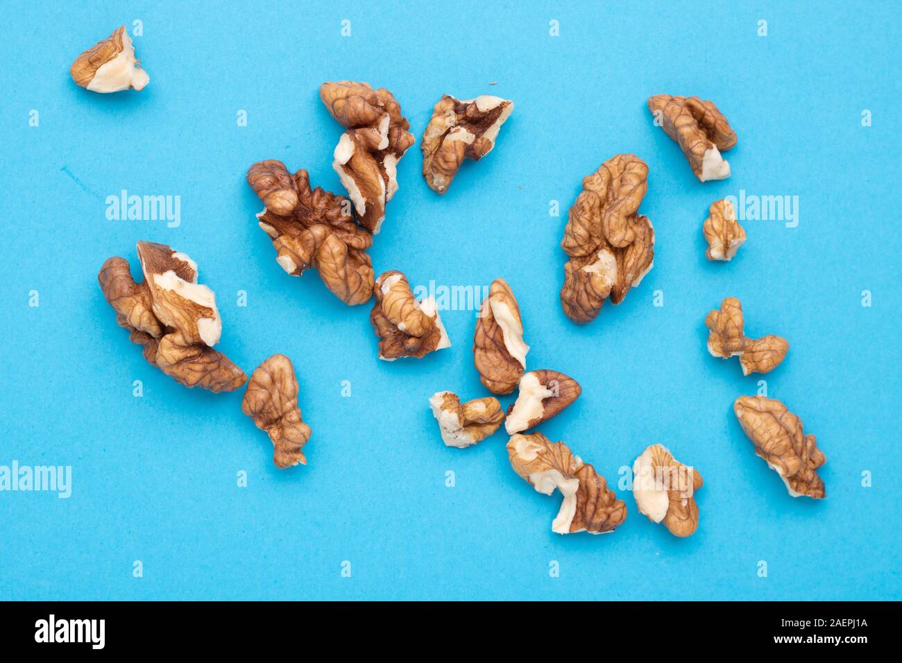 Top view big shelled hi-res stock photography and images - Alamy