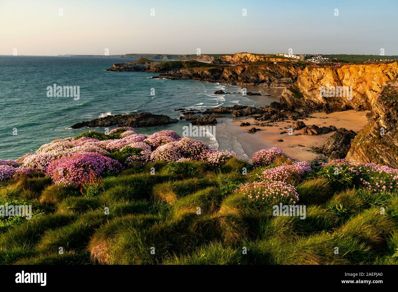 Golden cliffs hi-res stock photography and images - Alamy