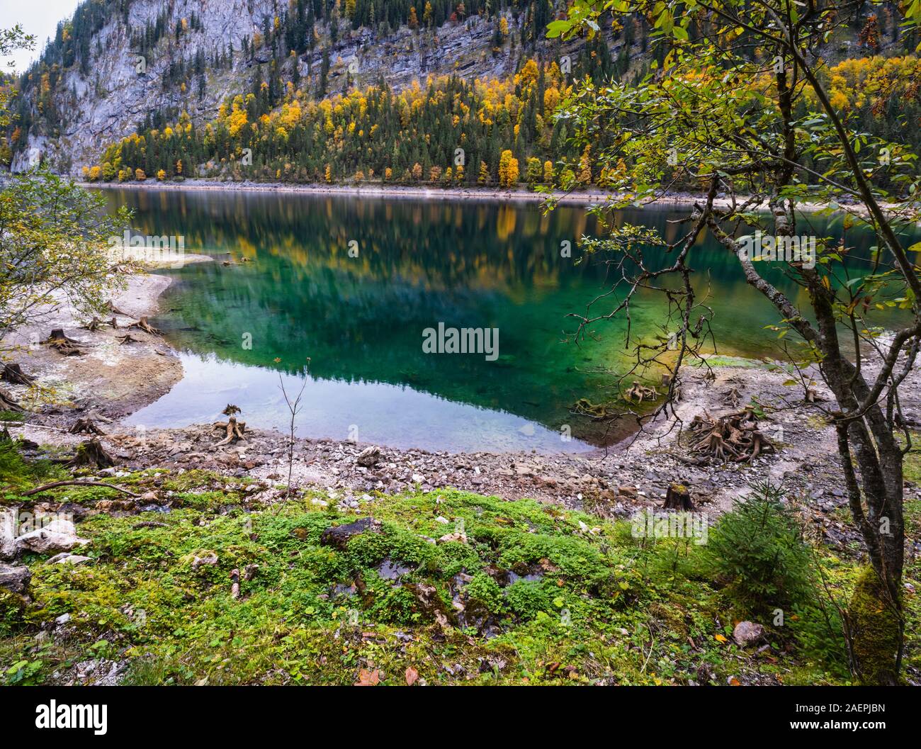 Stumps fall hi-res stock photography and images - Alamy