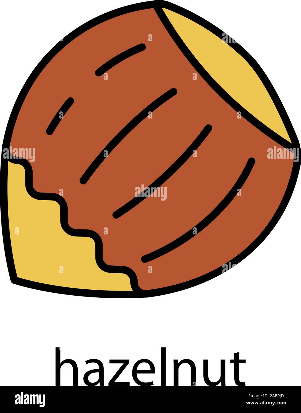 Hazelnut drawing vector vectors hi-res stock photography and images - Alamy