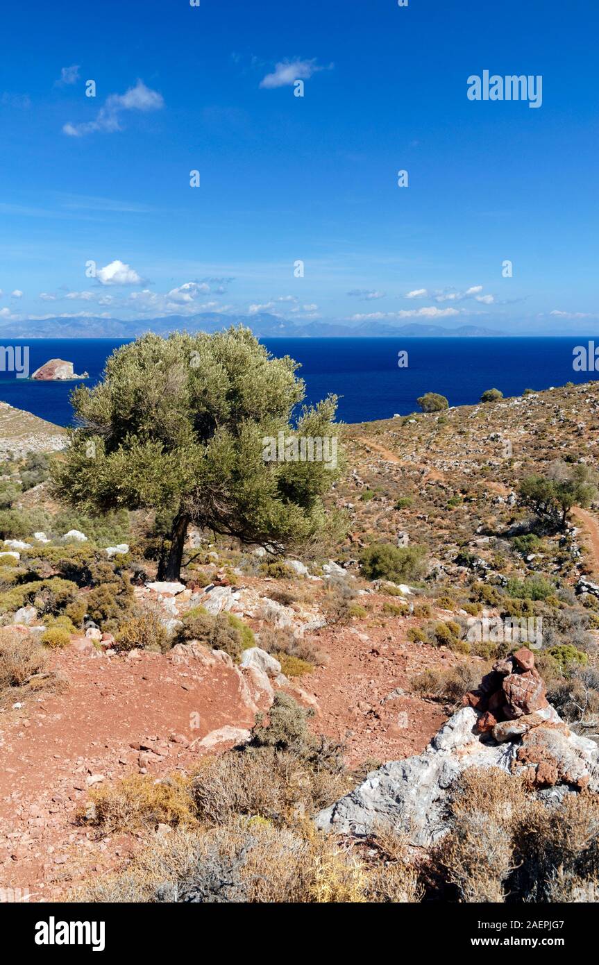 Micro horio hi-res stock photography and images - Alamy
