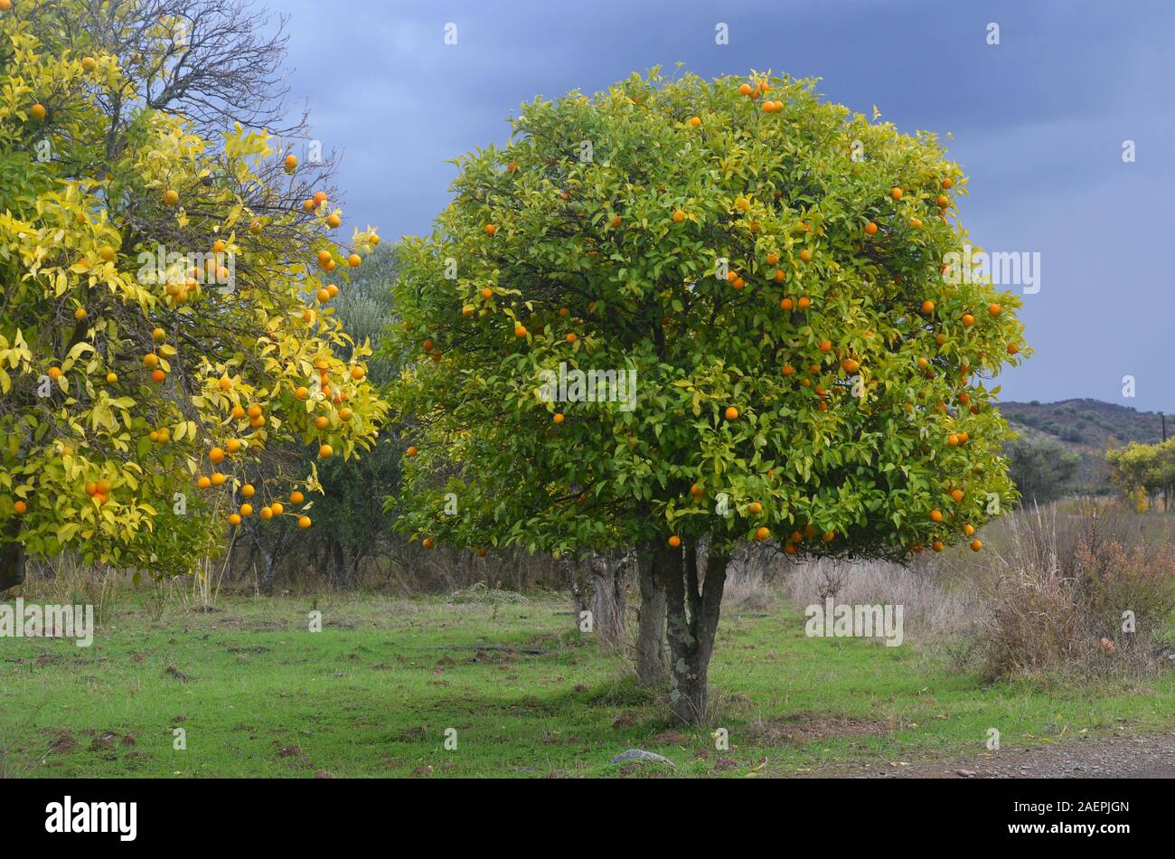 Agrosystem hi-res stock photography and images - Alamy