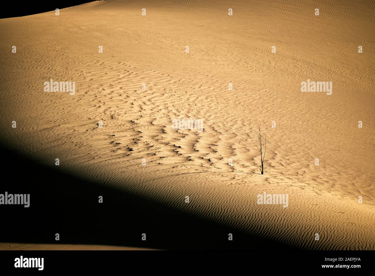 the formation of waved sand textures or pattern on a sand dune in dasht ...