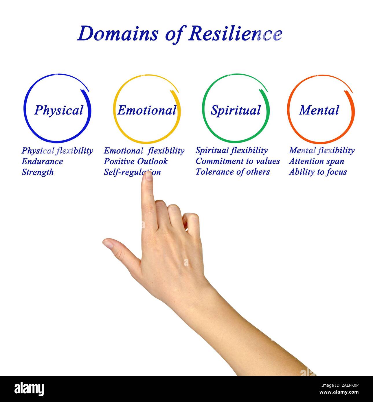 Domains of Resilience Stock Photo - Alamy