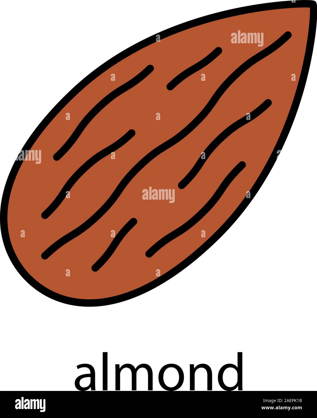 Almond color icon. Isolated vector illustration Stock Vector Image ...