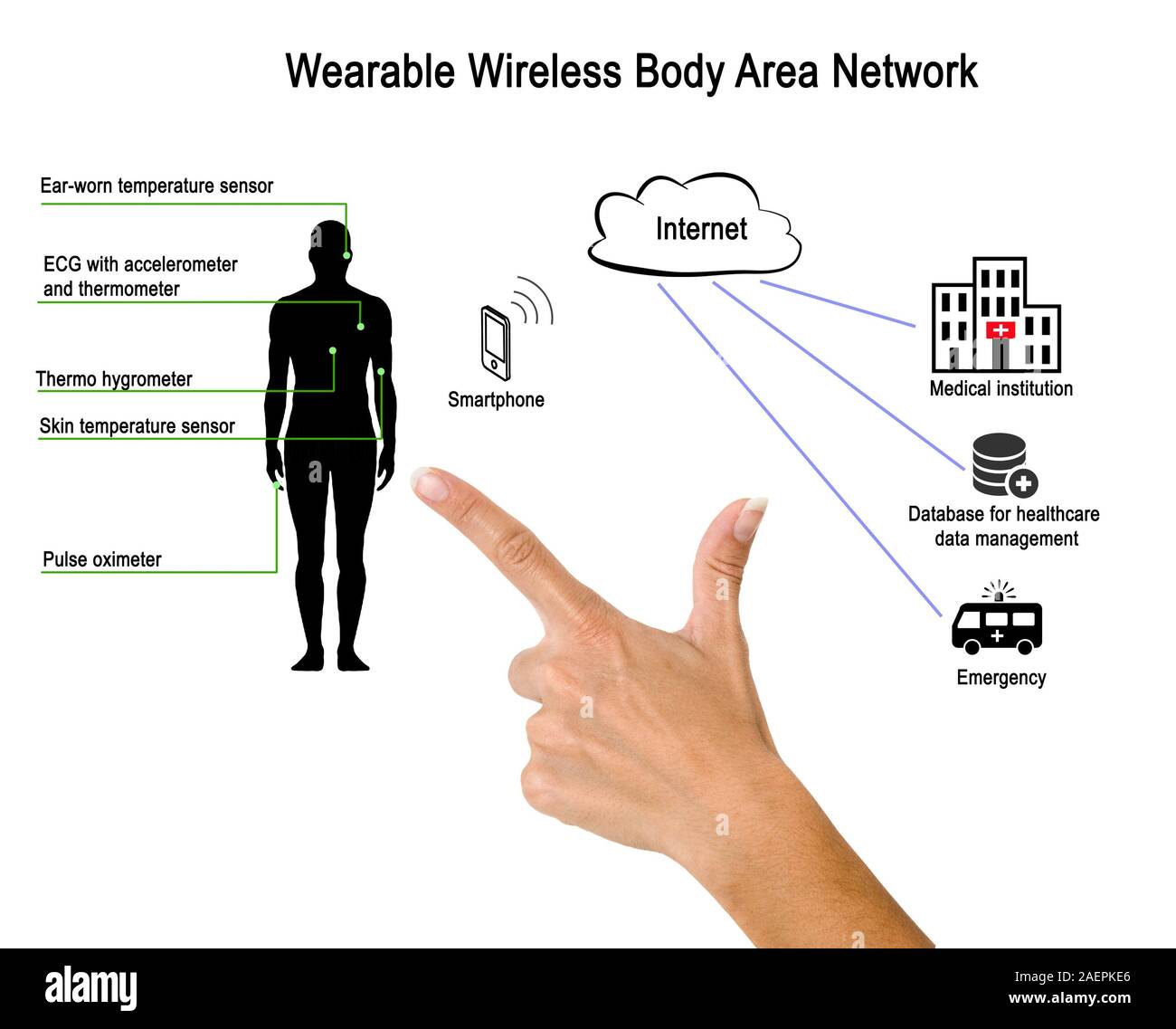 Body expert Cut Out Stock Images & Pictures - Alamy