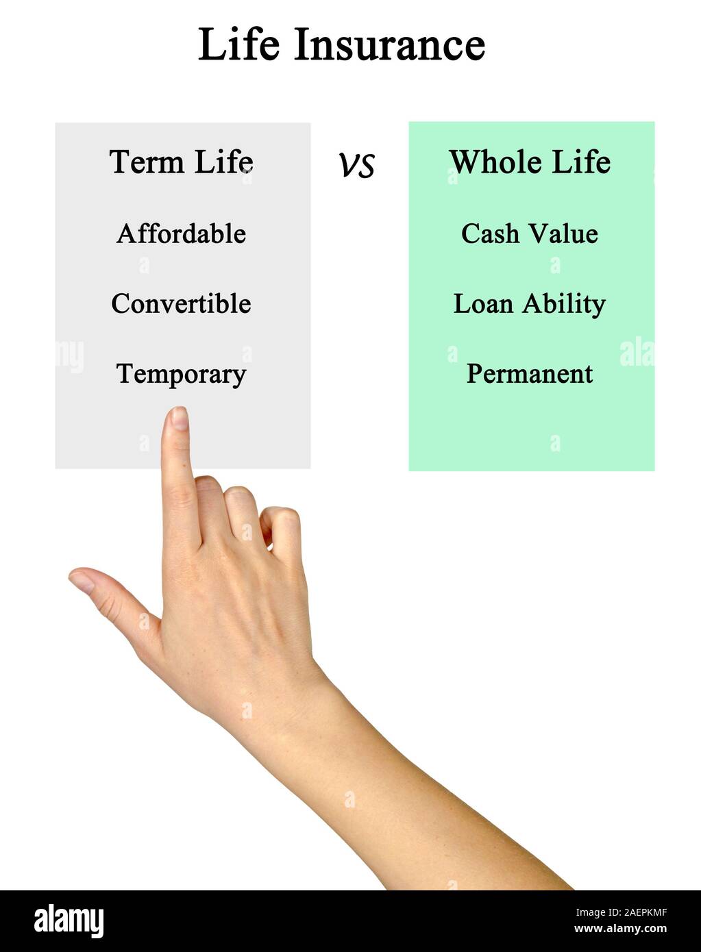Life Insurance: term life vs whole life Stock Photo - Alamy