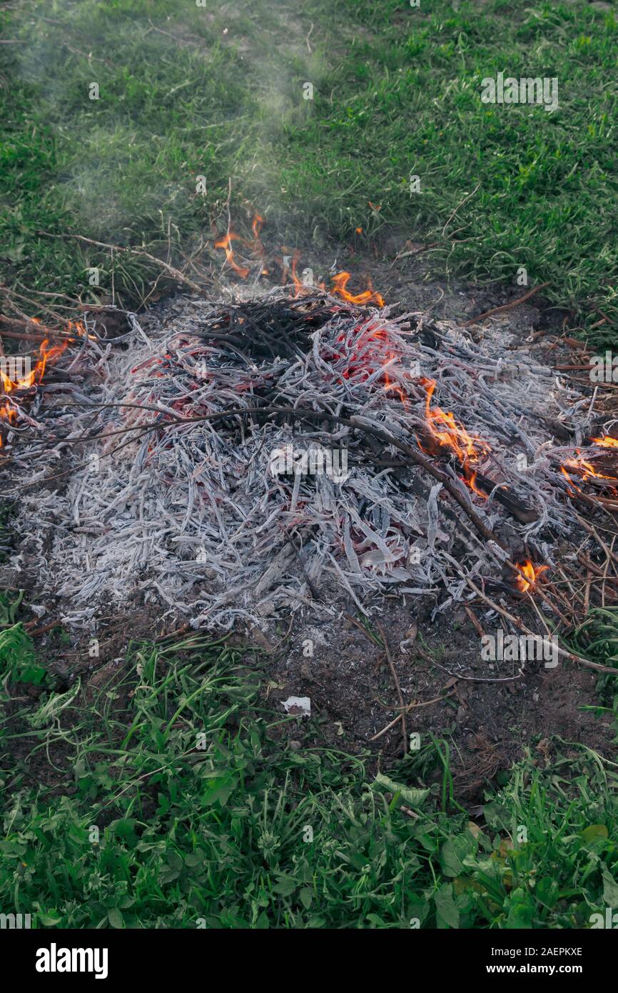 Fire of dry twigs on the green grass Stock Photo - Alamy