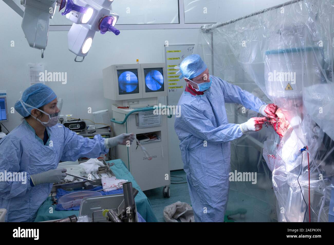 Joint replacement operation hi-res stock photography and images - Alamy