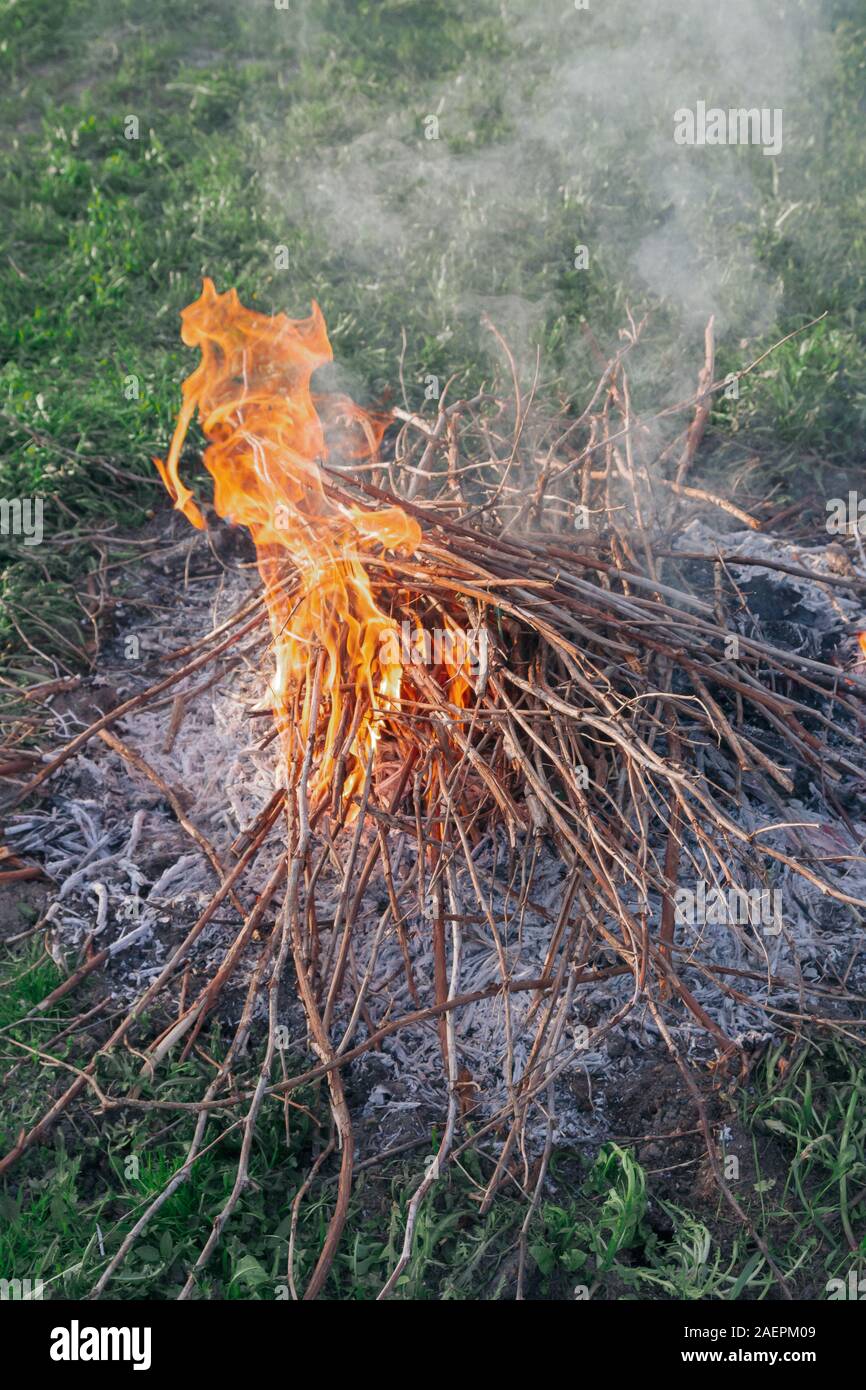 Fire of dry twigs on the green grass Stock Photo - Alamy