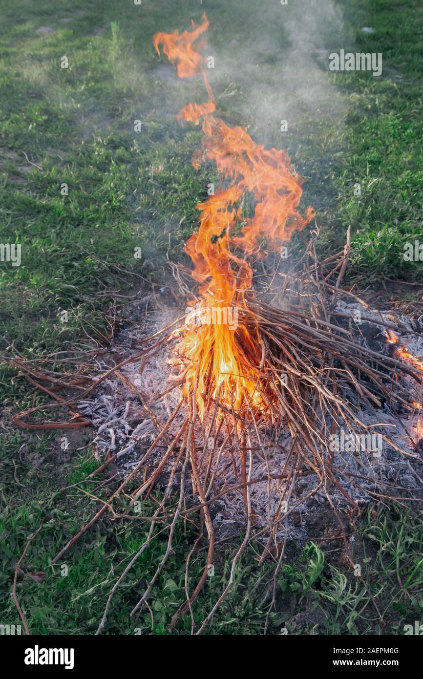 Fire of dry twigs on the green grass Stock Photo - Alamy