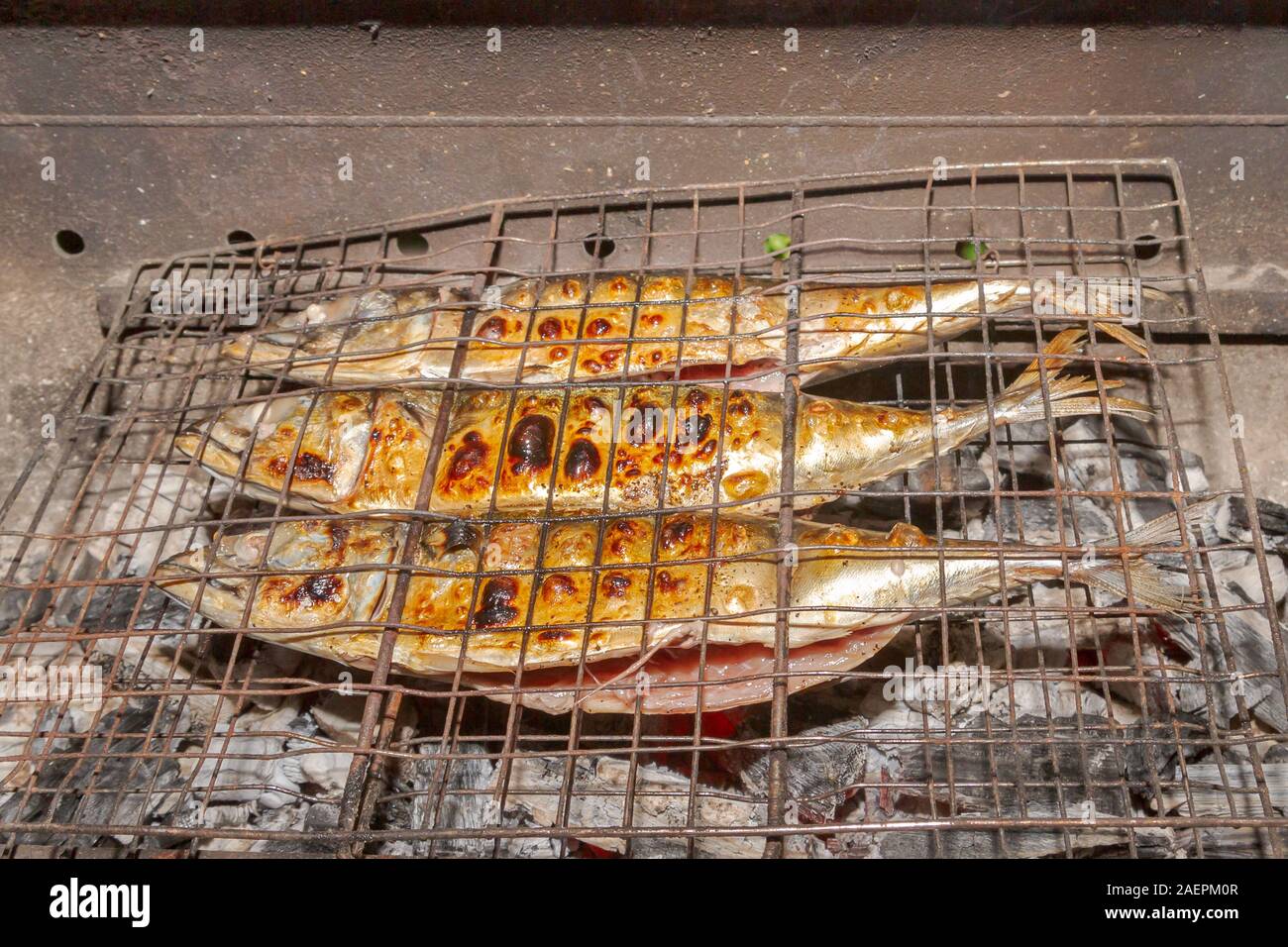 Grilled smoked Golden mackerel fish outside late at night Stock Photo ...