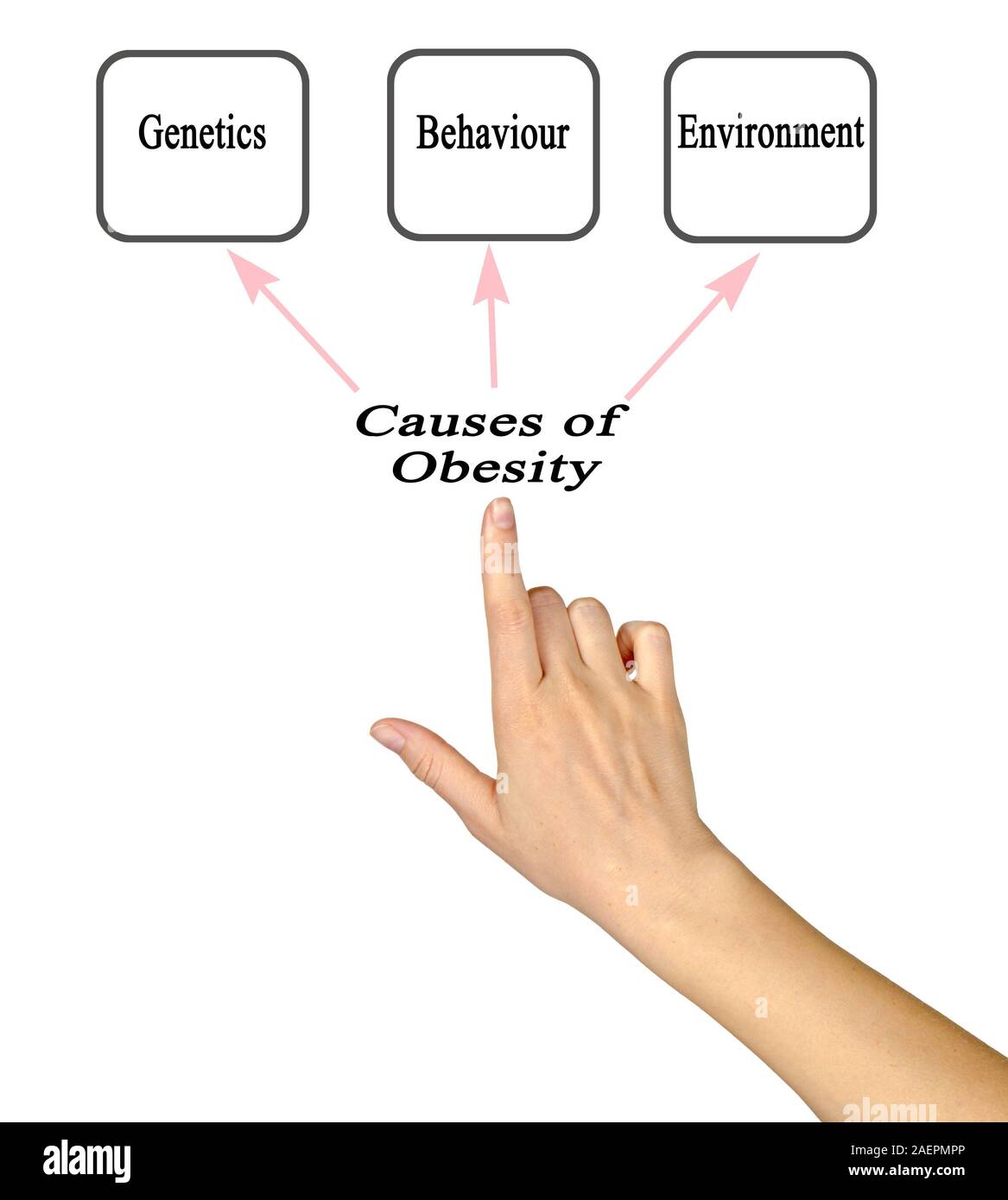 Three Cause of Obesity: Genetics, Behaviour, Environment Stock Photo ...