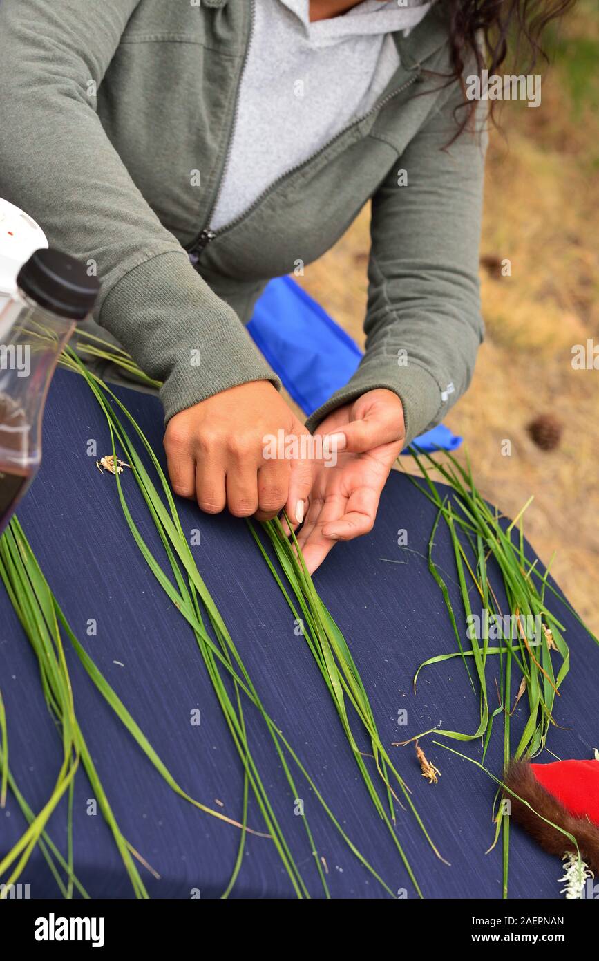 Blade Of Grass Crafting Recipe at Troy Jenkins blog